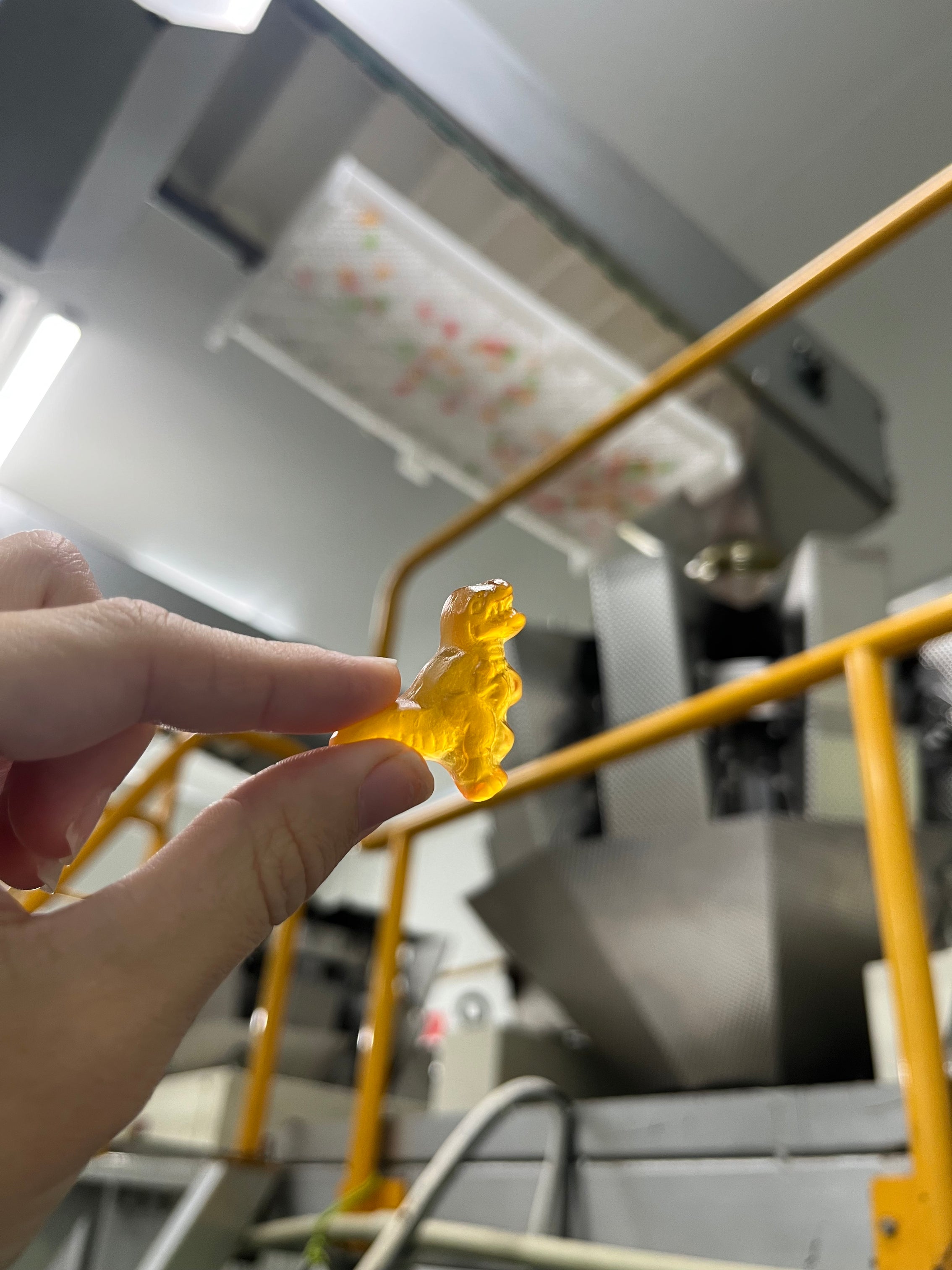 Quiénes somos – hello-mims